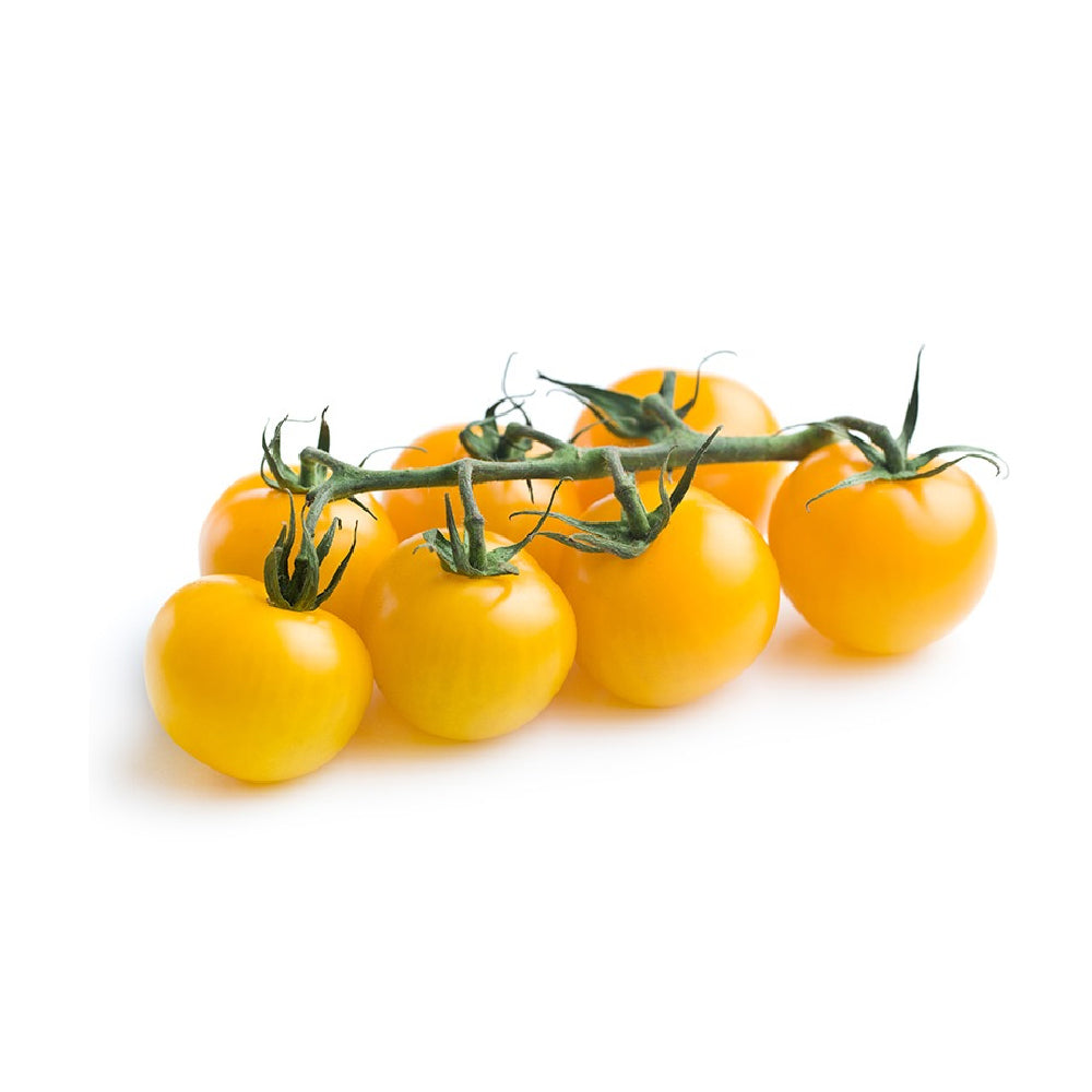 Organic Tomato Cherry Yellow – Lets Organic