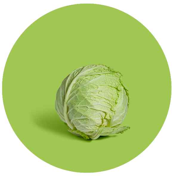 Buy Fresh Organic Cabbage & Greens Online In UAE – Lets Organic