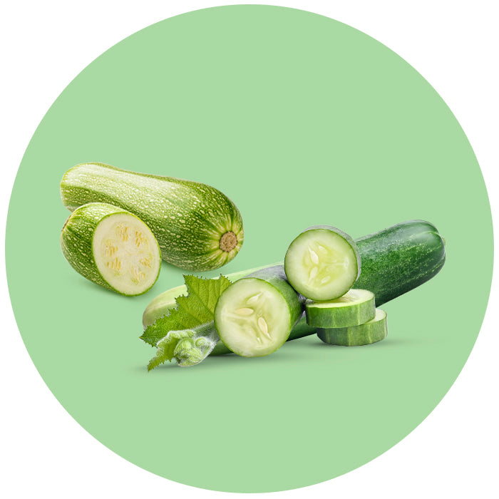 Cucumber & Courgette – Lets Organic